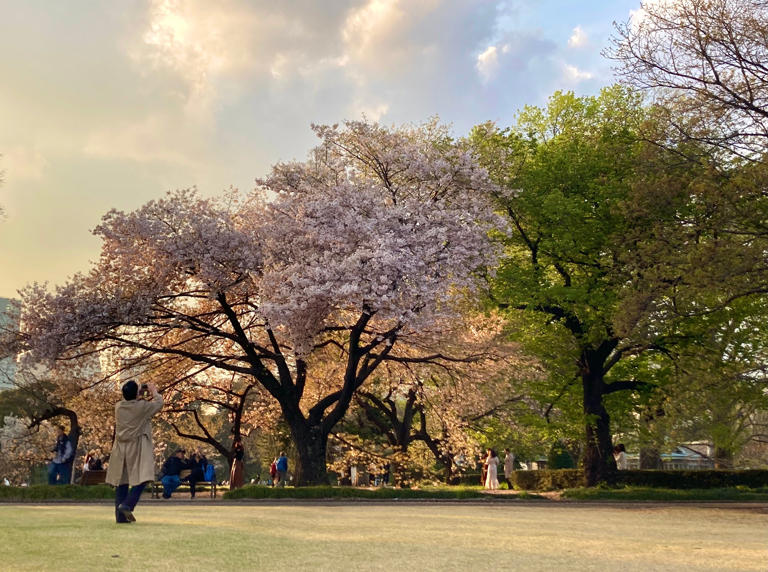 I took a solo trip to Japan in my 20s. My experience traveling there ...