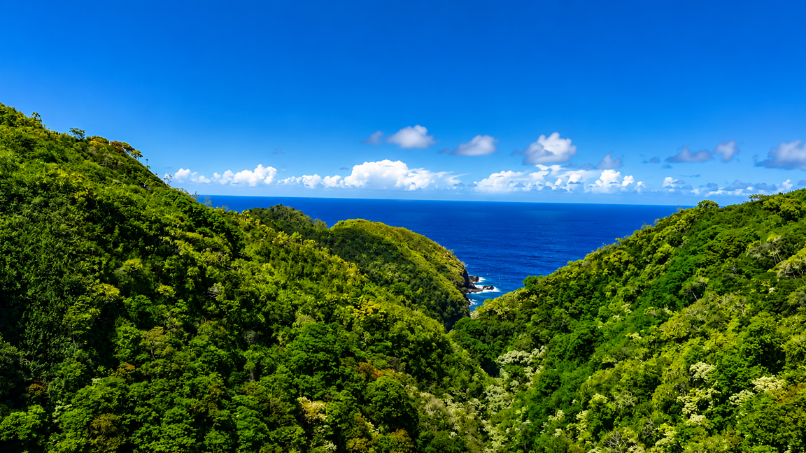 The hidden jungle opening that leads straight to the ocean