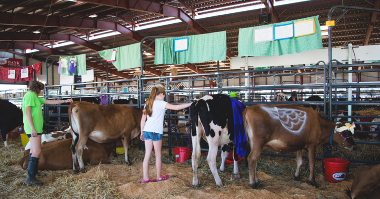 Virginia's biggest fair is packed with food and traditions
