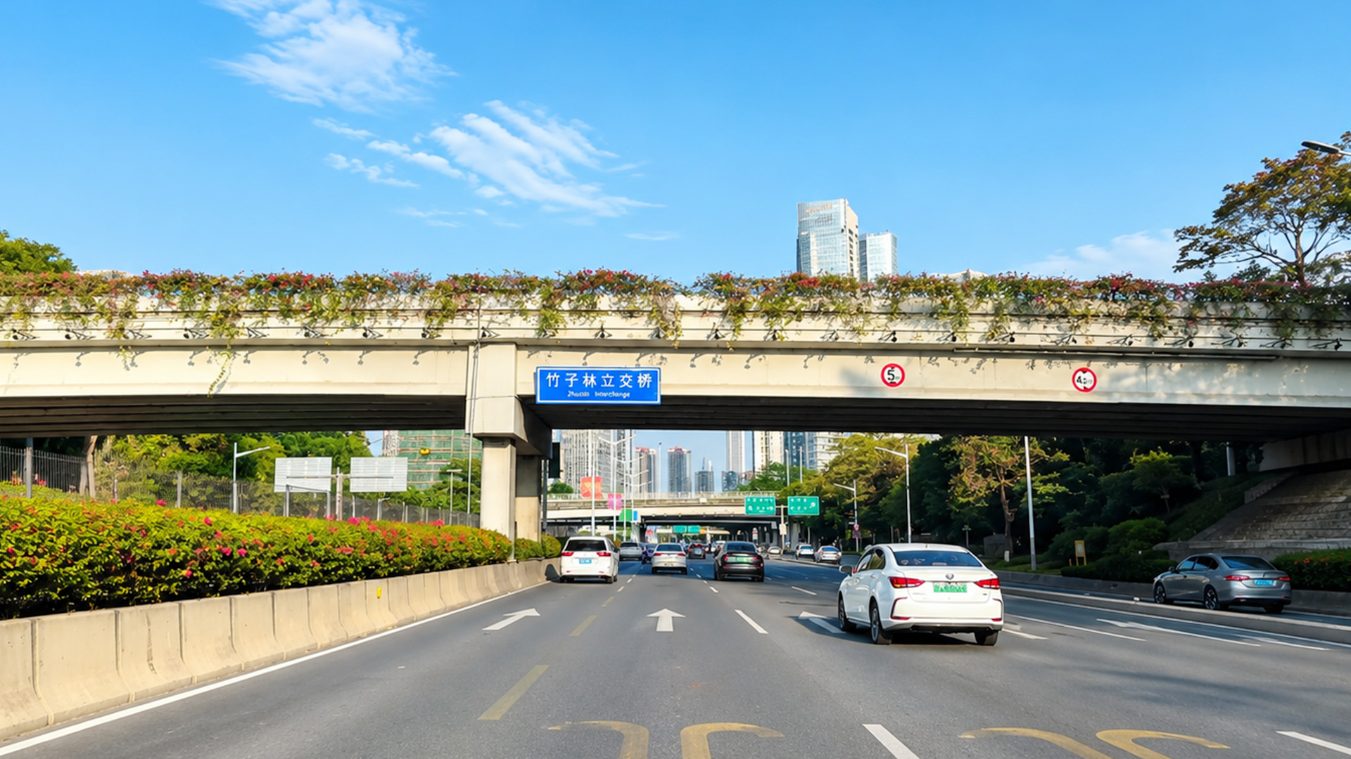 À la découverte des ponts autoroutiers en Chine décorés de verdure et ...