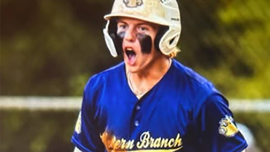 2026 Virginia (VHSL) high school baseball playoffs: Brackets, schedules ...