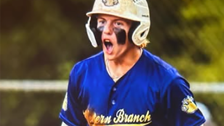 2026 Virginia (VHSL) high school baseball playoffs: Brackets, schedules ...