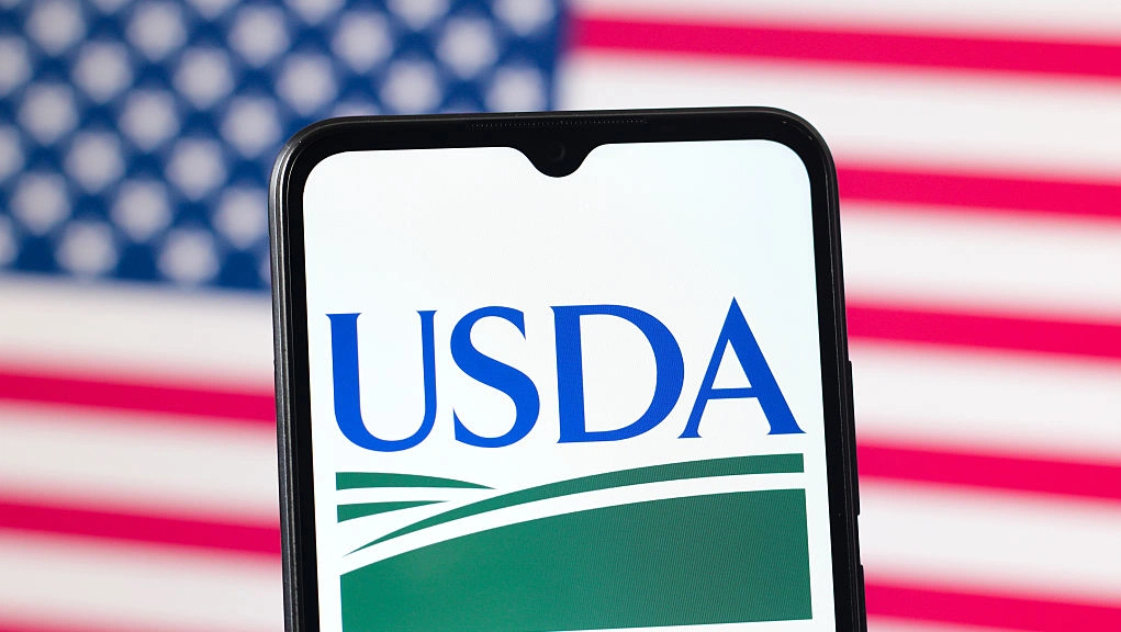 Experts list condiments safe to store outside fridge
