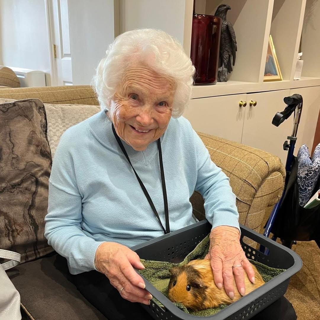 The day the animals came to East Hoathly care home