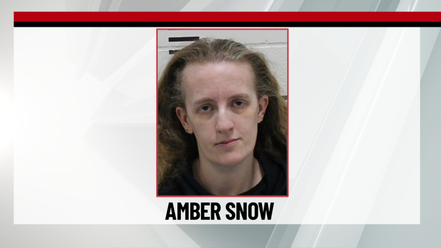 Iowa woman accused of lacing lasagna with drugs to cause miscarriage ...