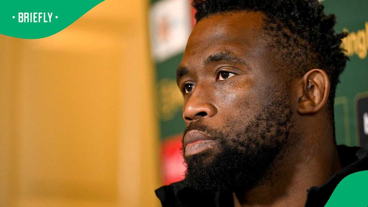 Siya Kolisi took major pay sacrifice to rejoin Stormers, says Dobson