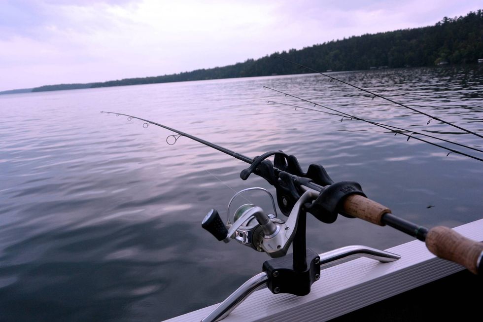 Minnesota DNR set to launch a new digital hunting and fishing licensing ...