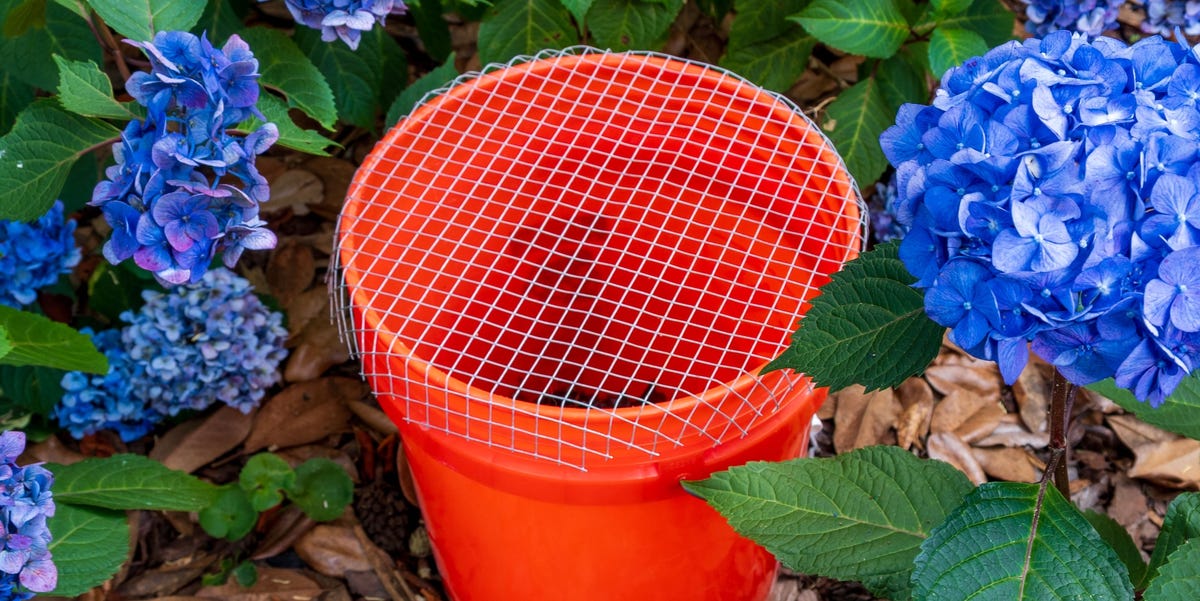 This genius DIY will solve your mosquito problem this season