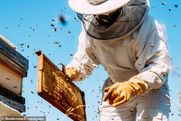 How a daily dose of honey may aid weight loss and even fight cancer if ...