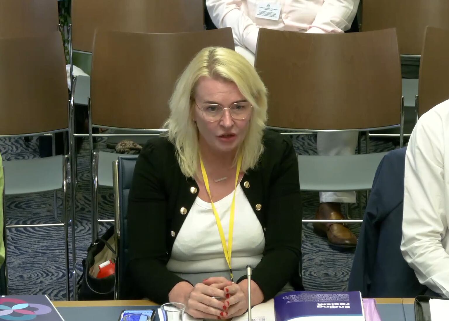 Stormont committee witness apologises for 'unacceptable' comments about ...