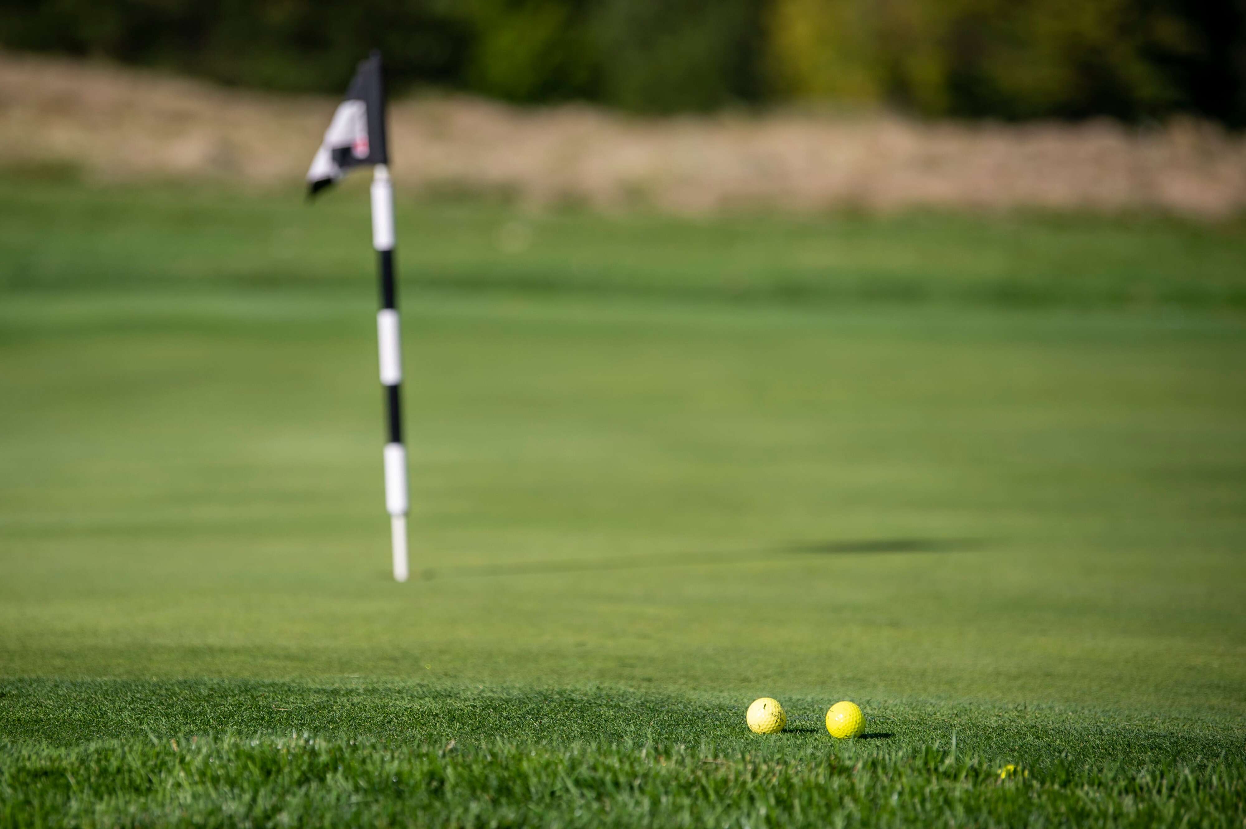 Ann Arbor boys golf: Chelsea, Greenhills reign supreme at regionals