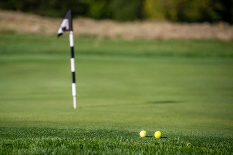 Ann Arbor boys golf: Chelsea, Greenhills reign supreme at regionals