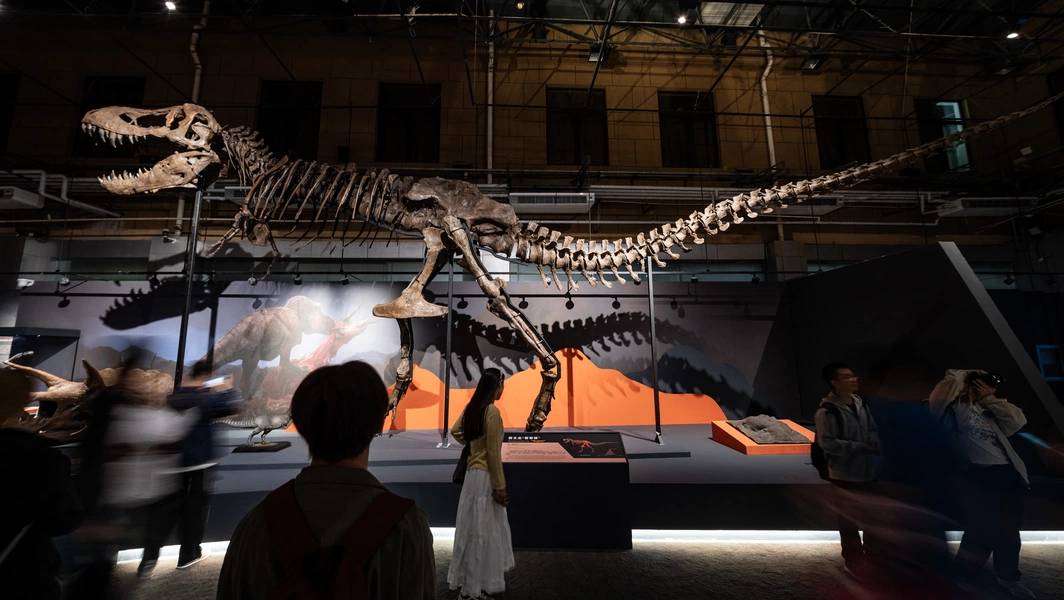 Study links T rex's tiny arms to skull evolution