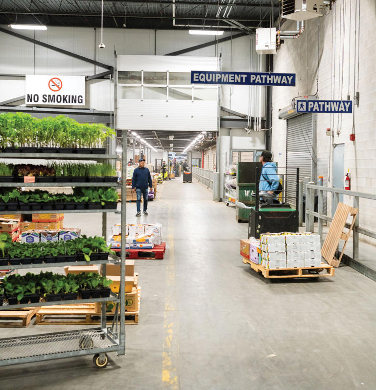 Toronto will soon be the launch pad for Canada’s public grocery experiment