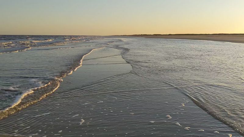 This scenic Texas wildlife refuge lets you dig for prehistoric shark ...