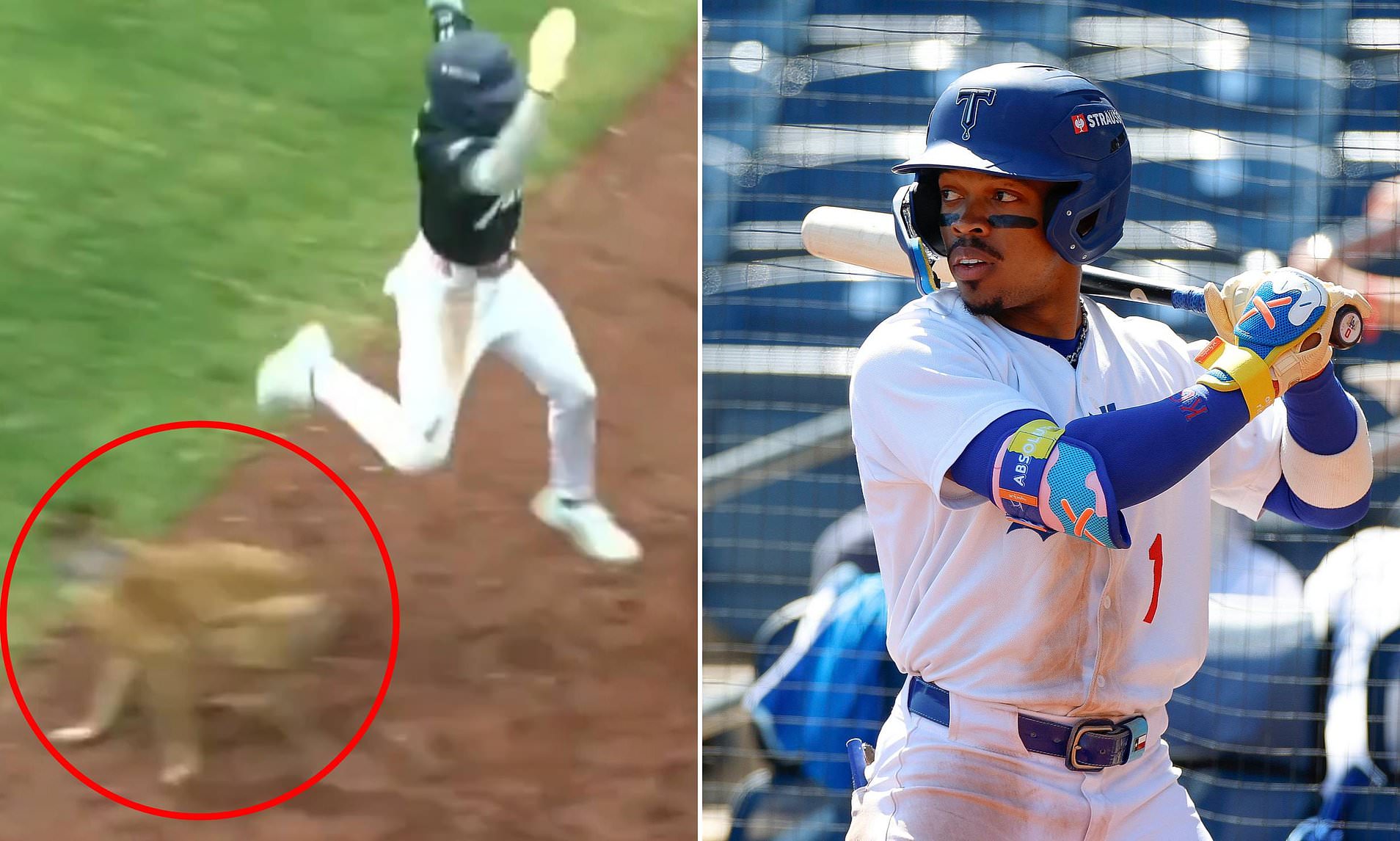 Top Dodgers prospect suffers freak knee injury after avoiding collision ...