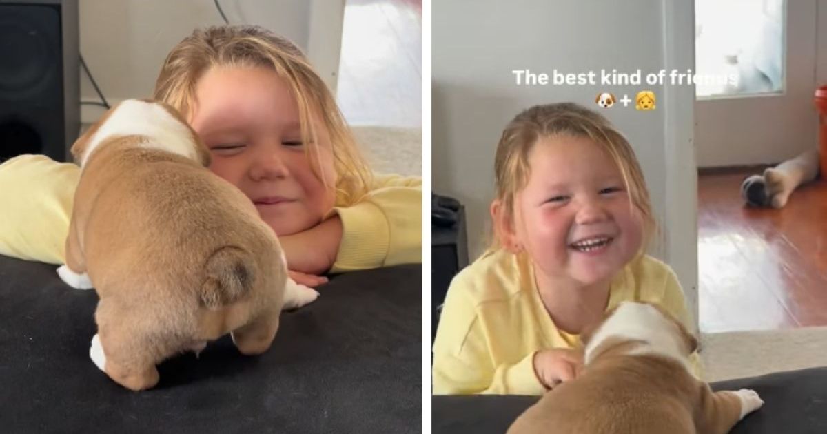 Puppy & little girl become best friends in sweetest way