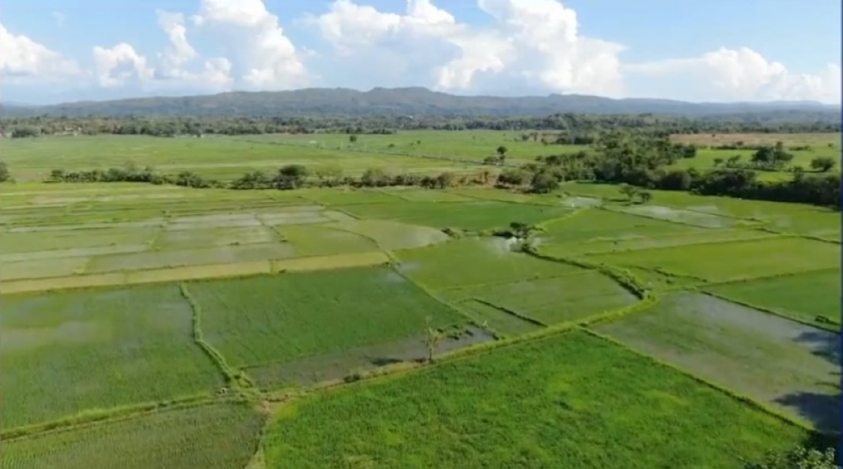 Water for the hills: NIA-CAR brings 219 projects worth P1.67 billion to ...