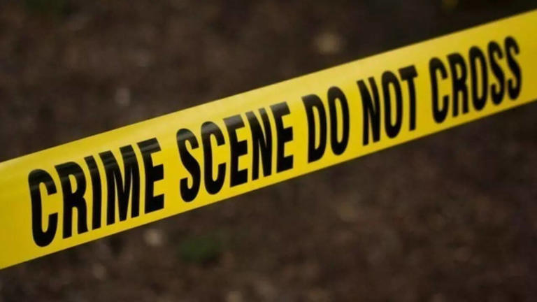 Pregnant woman in Delhi dies after falling from height, family alleges ...