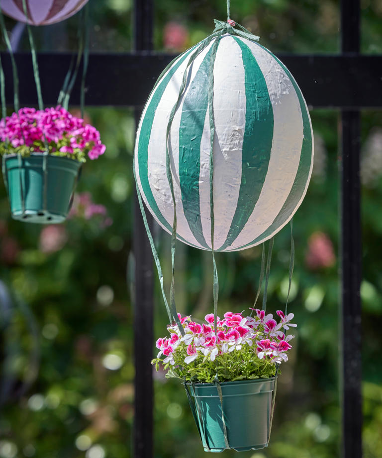 10 creative ideas to turn cheap grocery-store bedding plants into ...