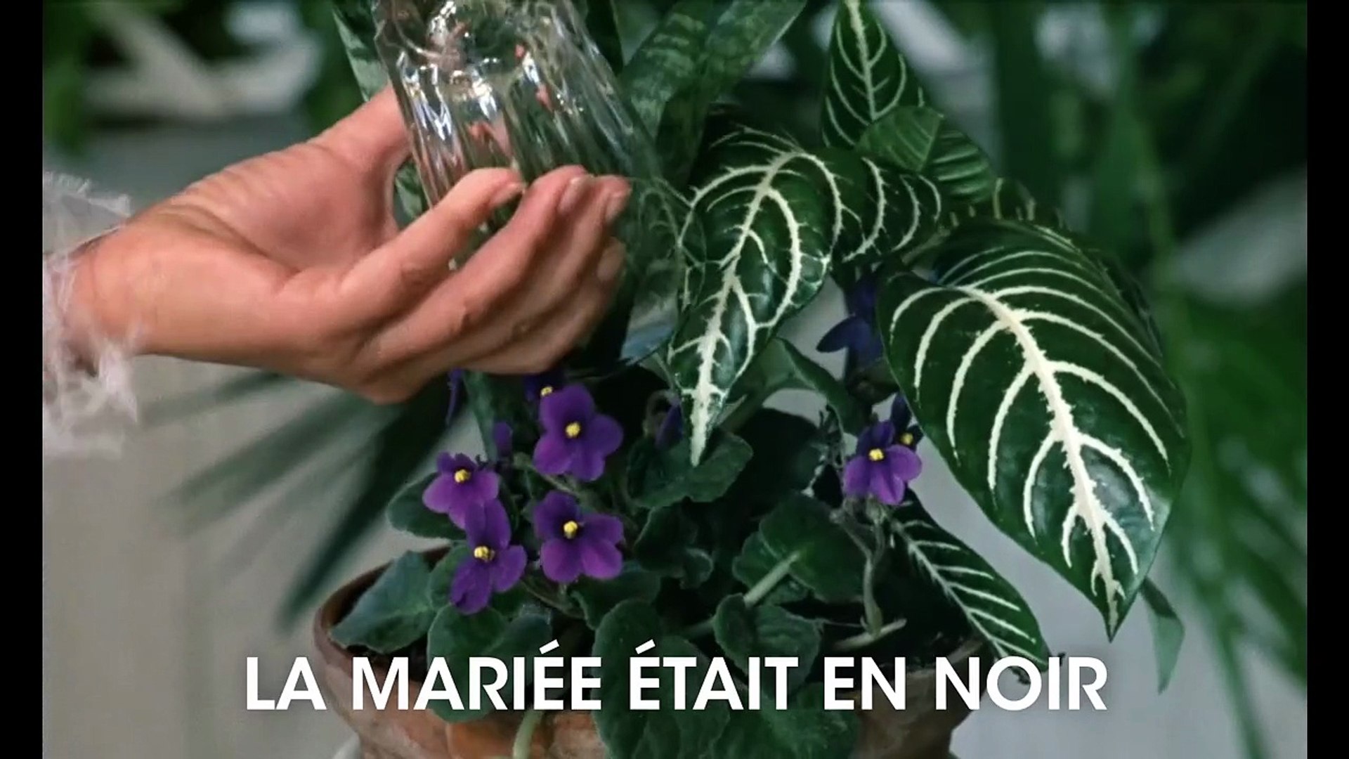 L'homme qui aimait les femmes