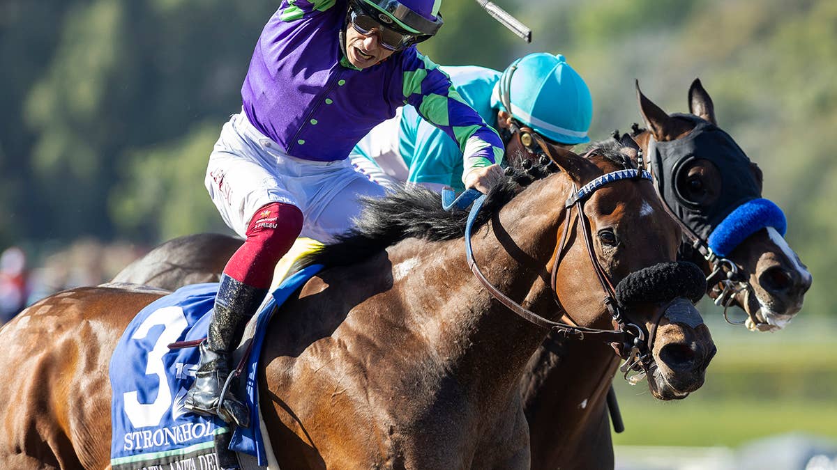 Stronghold seeks return to graded stakes winners’ circle in Triple Bend