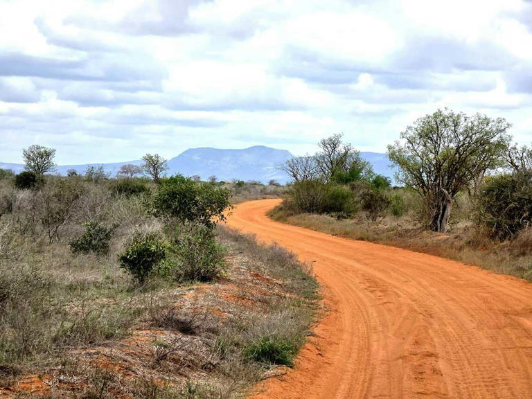 Limpopo visitors terrified by African python slithering by their room ...