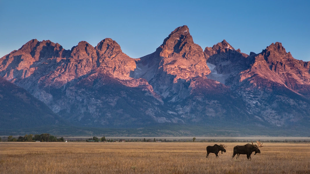 Rural communities adopt local plans to link wildlife habitats