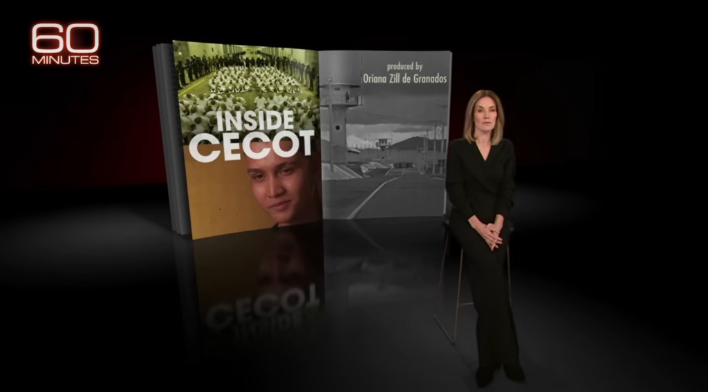 '60 Minutes' journo Sharyn Alfonsi loses CBS News contract in wake of ...