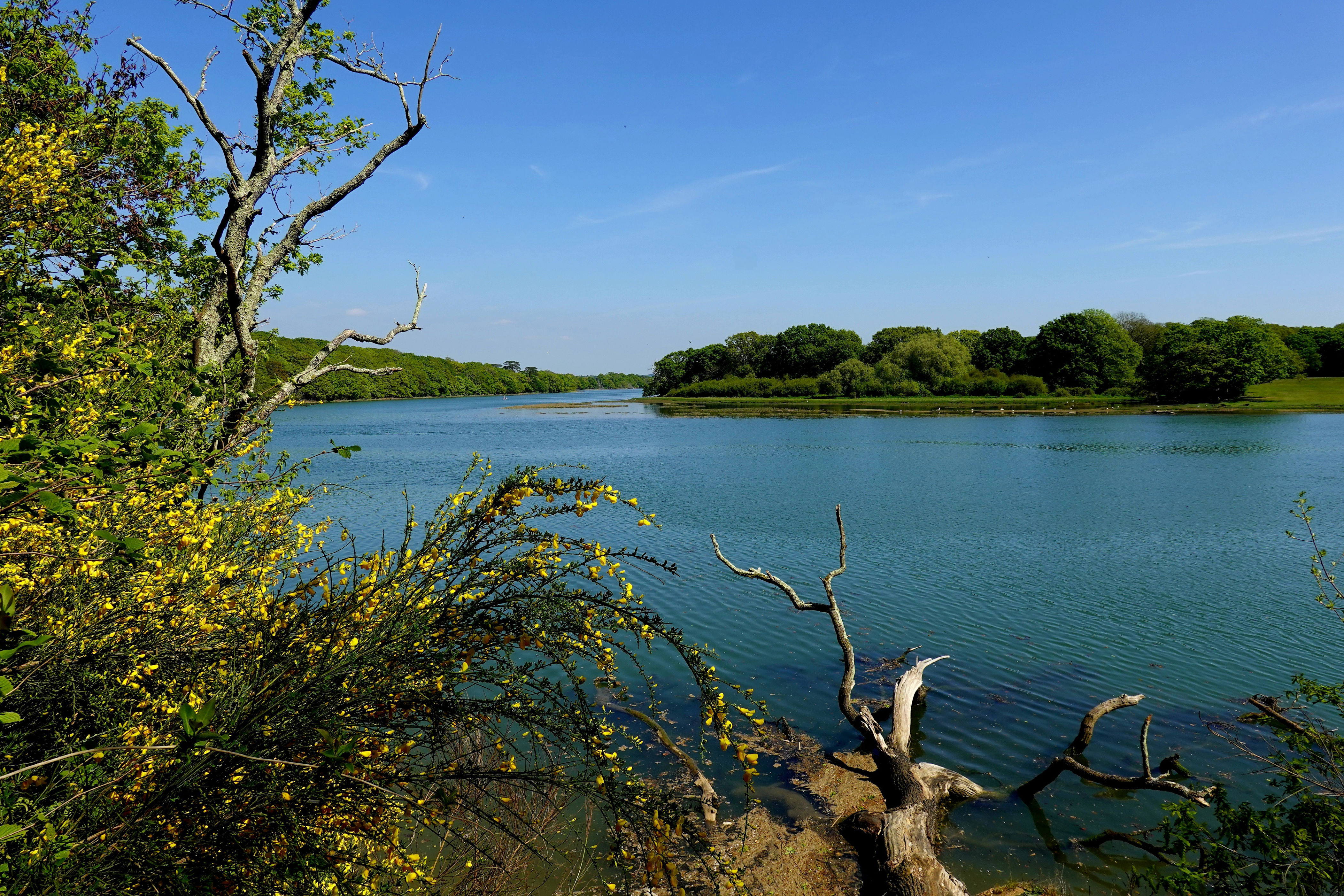 'Intoxicated' youths throw vodka bottles into pontoon amid anti-social ...