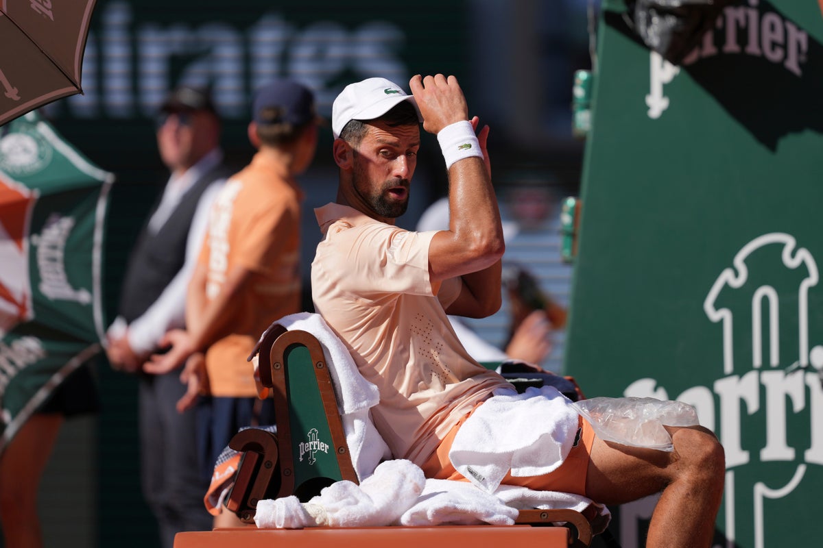 Djokovic battles heat and home hope Royer in French Open second round