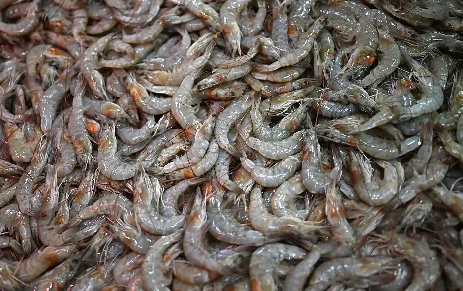Shrimp cooking secrets every home chef needs