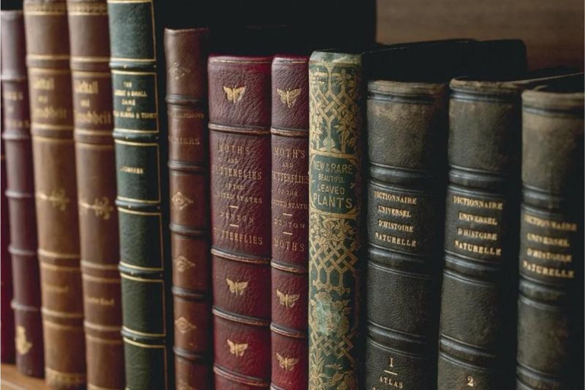 6 young adult dystopian books like The Hunger Games