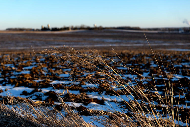 Court halts work on Minnesota data center