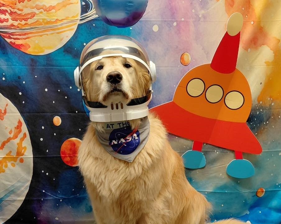 Out of this world dog prom in Doylestown raises thousands for A Woman's ...