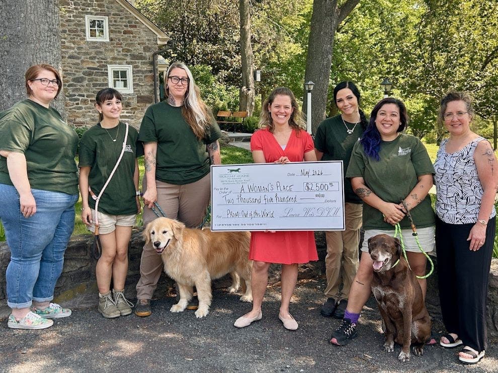 Out of this world dog prom in Doylestown raises thousands for A Woman's ...