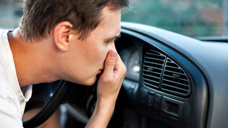 How often should you clean your car's A/C? (And how to do it)