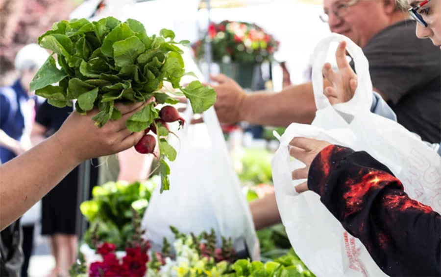 Shelley’s new hometown farmers market launches June 4