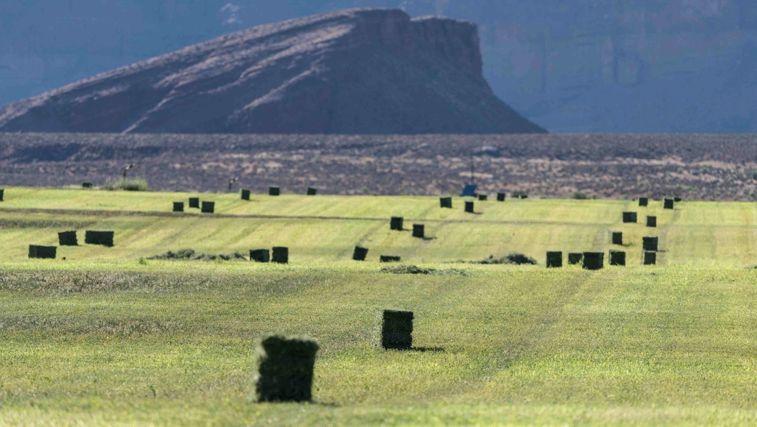 Decades on family farm leave Utah couple with no ownership