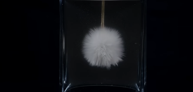 What if you swallowed all elements of the periodic table?