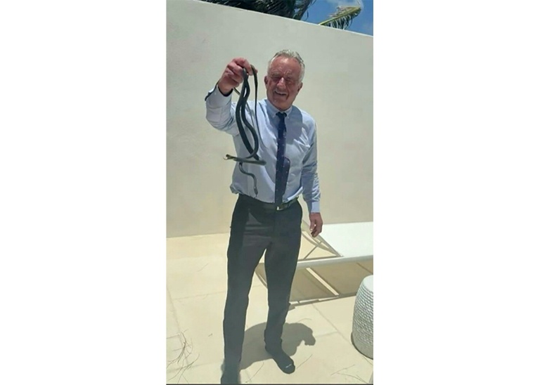 Live snakes, dead bears and brain worms: RFK Jr's wild animal antics