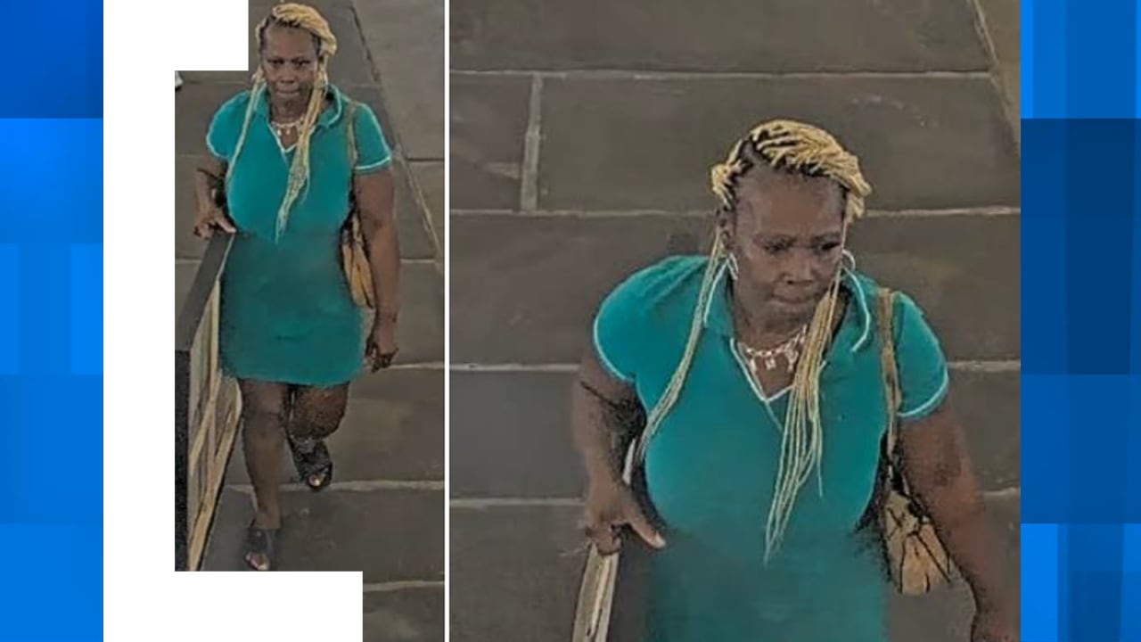 Charleston police search for woman accused of stealing a $4,000 painting