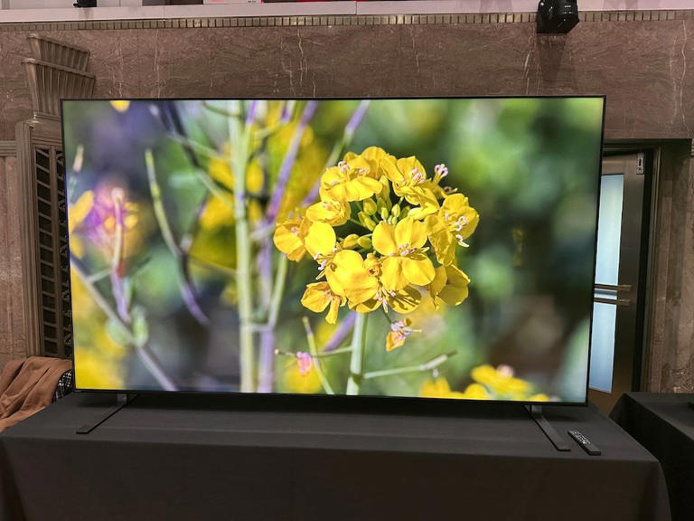 Sony BRAVIA RGB TVs first look