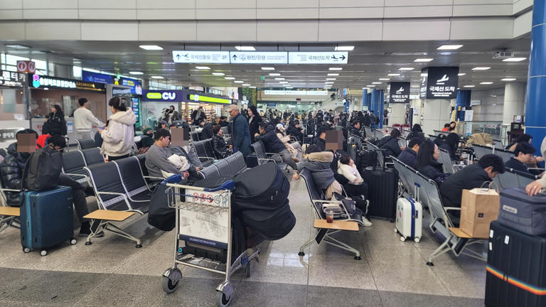 Cheongju Airport's foreign arrivals surge 858%, shedding 'ghost' label