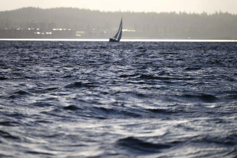 Elegant sailboats crisscross Commencement Bay each Wednesday. Here's ...