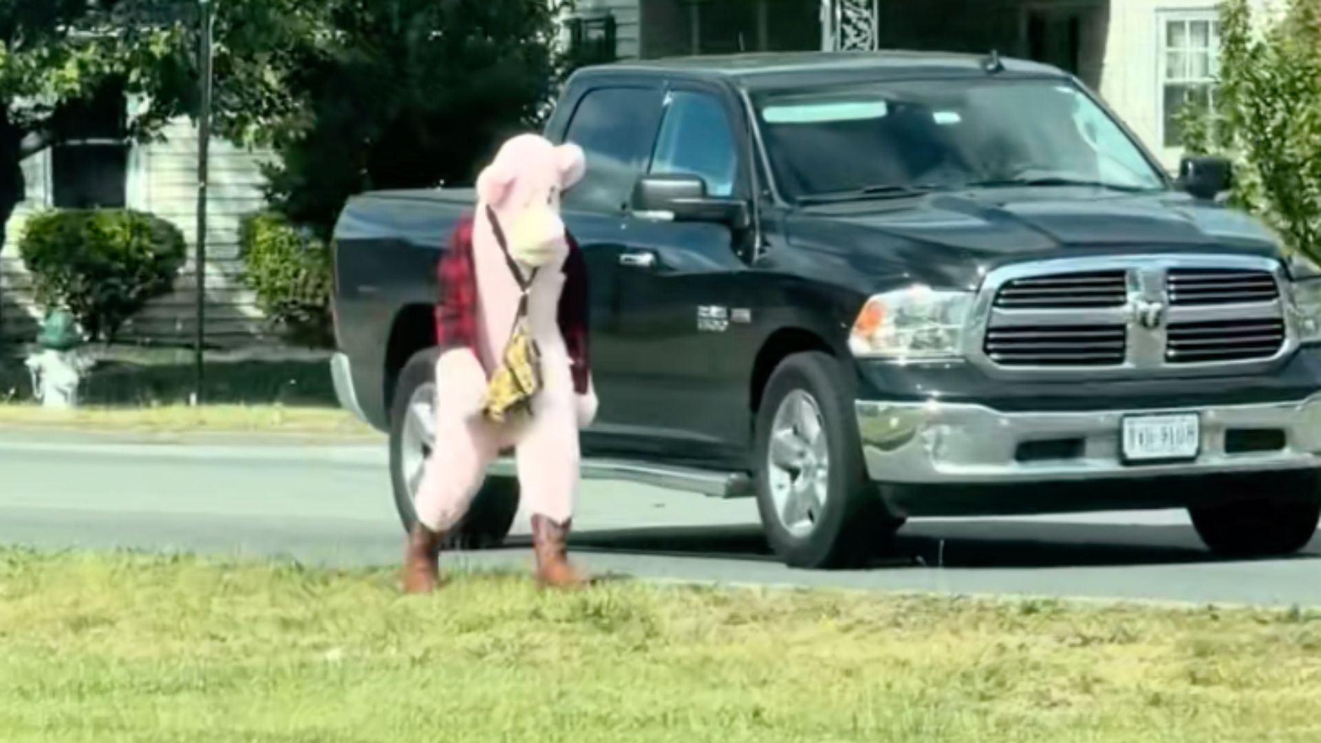 Like a scene from a horror movie: Predator in Pink Panther costume ...