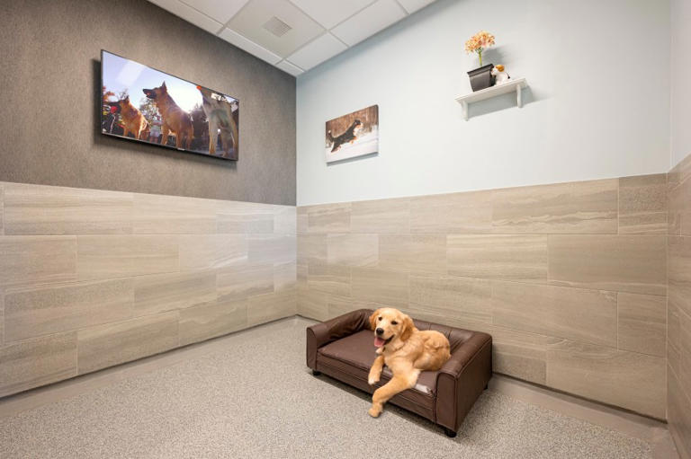 Luxury pet hotel near Grand Rapids to host community open house