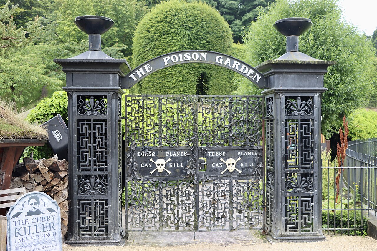 Plantas capazes de matar atraem curiosos para 'Jardim dos Venenos' na ...