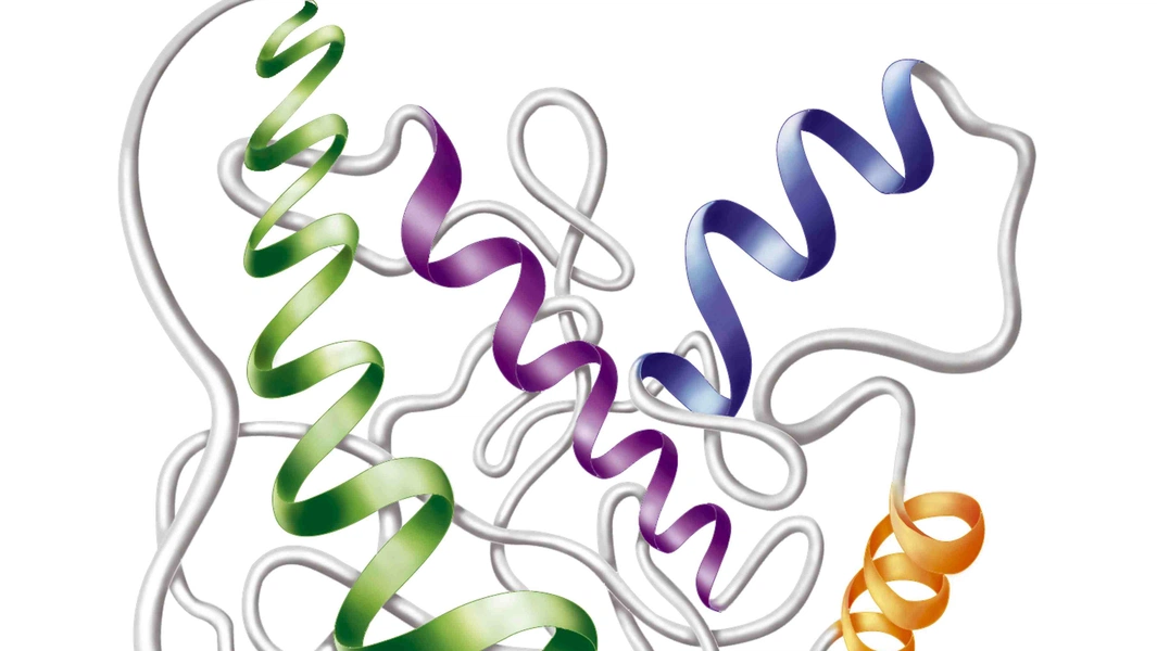 Scientists map ancient protein network, uncover hidden disease genes