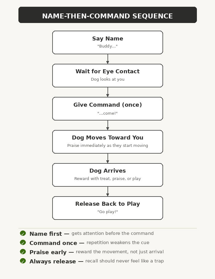 How to train your dog to come running every single time you call
